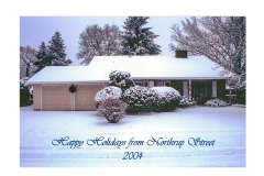 Happy Holidays x 27 | anderson viewpoint photography